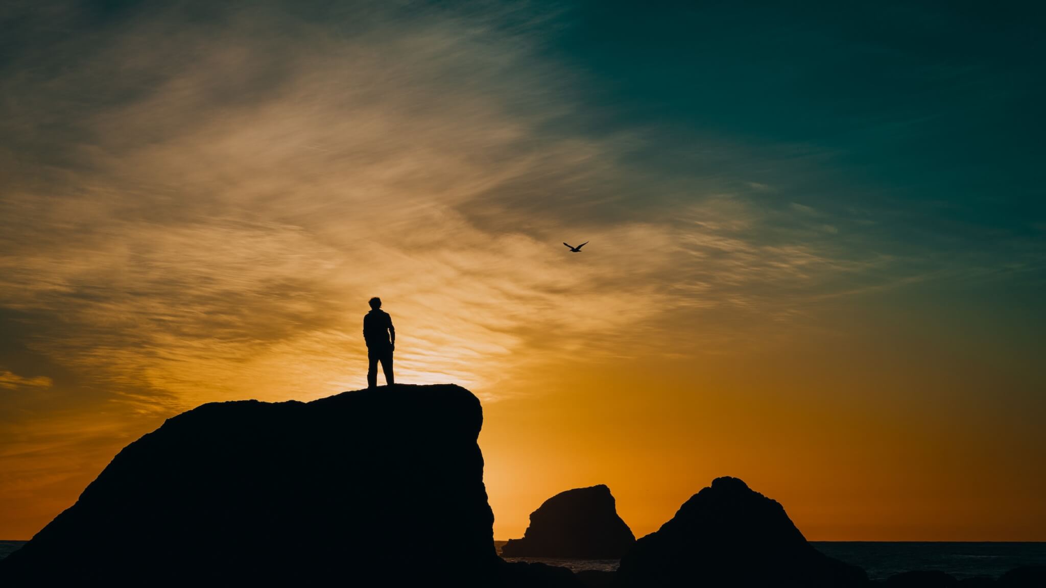 How To Find Your Passion Life Purpose 1 ⋆ Quantum World Awaken Your Mind